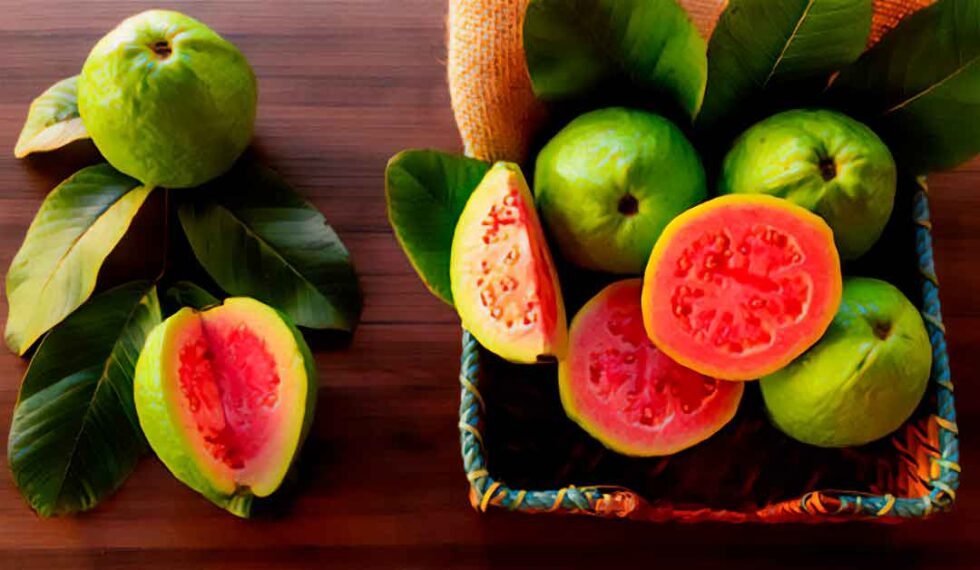 Vermelha ou branca, goiaba é rica em vitaminas e minerais importantes à ...